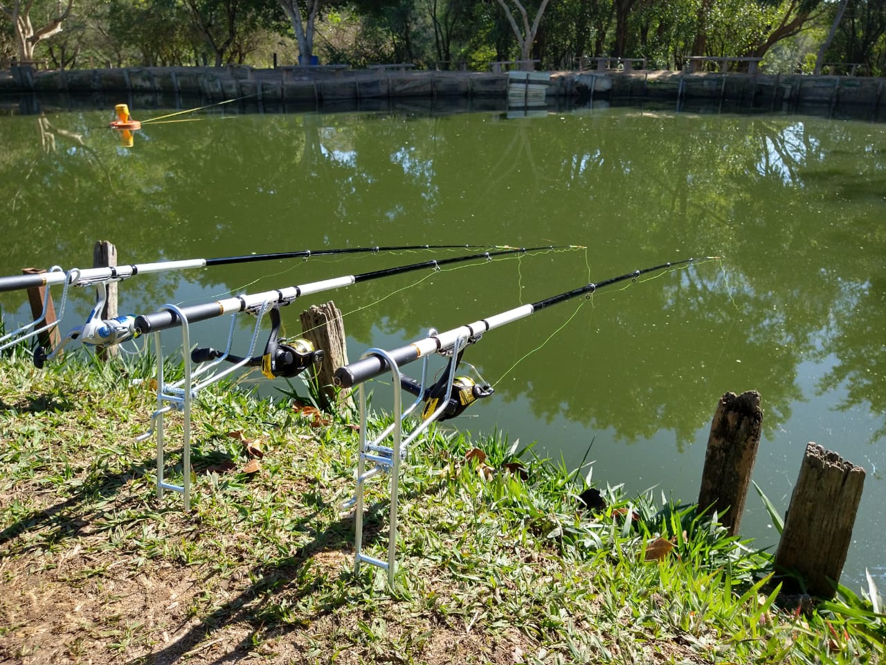 Pesqueiro Fujimar - Cotia - SP - Pesca & Pesqueiros!