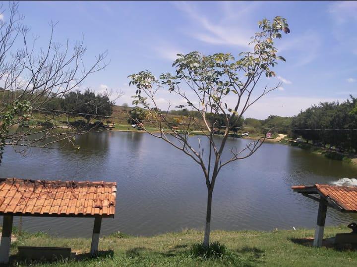 Pesca & Pesqueiros - O guia completo para sua pescaria