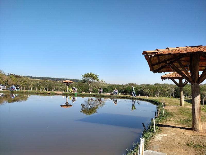 Pesca & Pesqueiros - O guia completo para sua pescaria