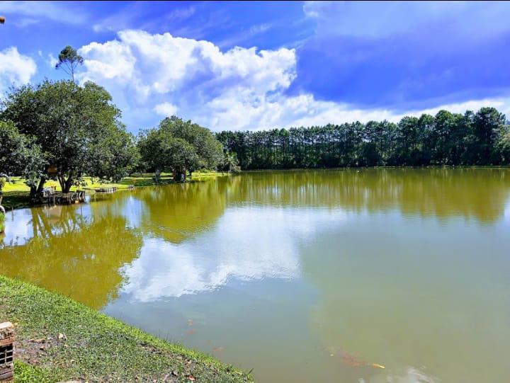 Pesqueiro Alto da Serra - São Bernardo do Campo - SP - Pesca & Pesqueiros!