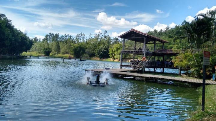 Pesqueiro Castelinho - São Pedro - SP - Pesca & Pesqueiros!