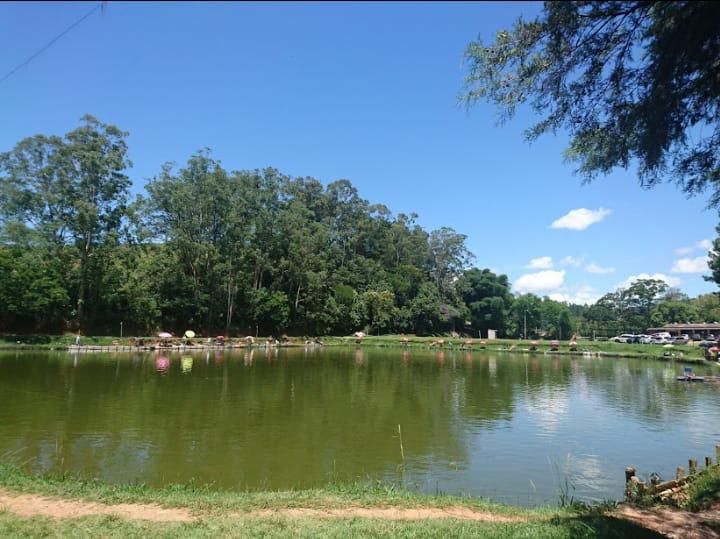 Pesca & Pesqueiros - O guia completo para sua pescaria