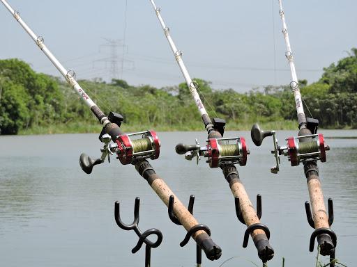 Pesca & Pesqueiros - O guia completo para sua pescaria